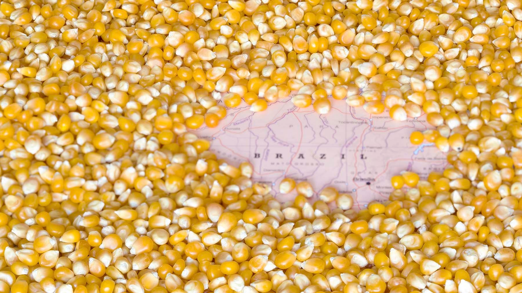 Soybean Crop Rating Up, Corn Slips | Farm Progress