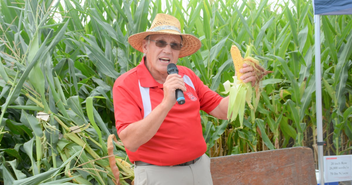 Corn tests revealed surprising results on yield