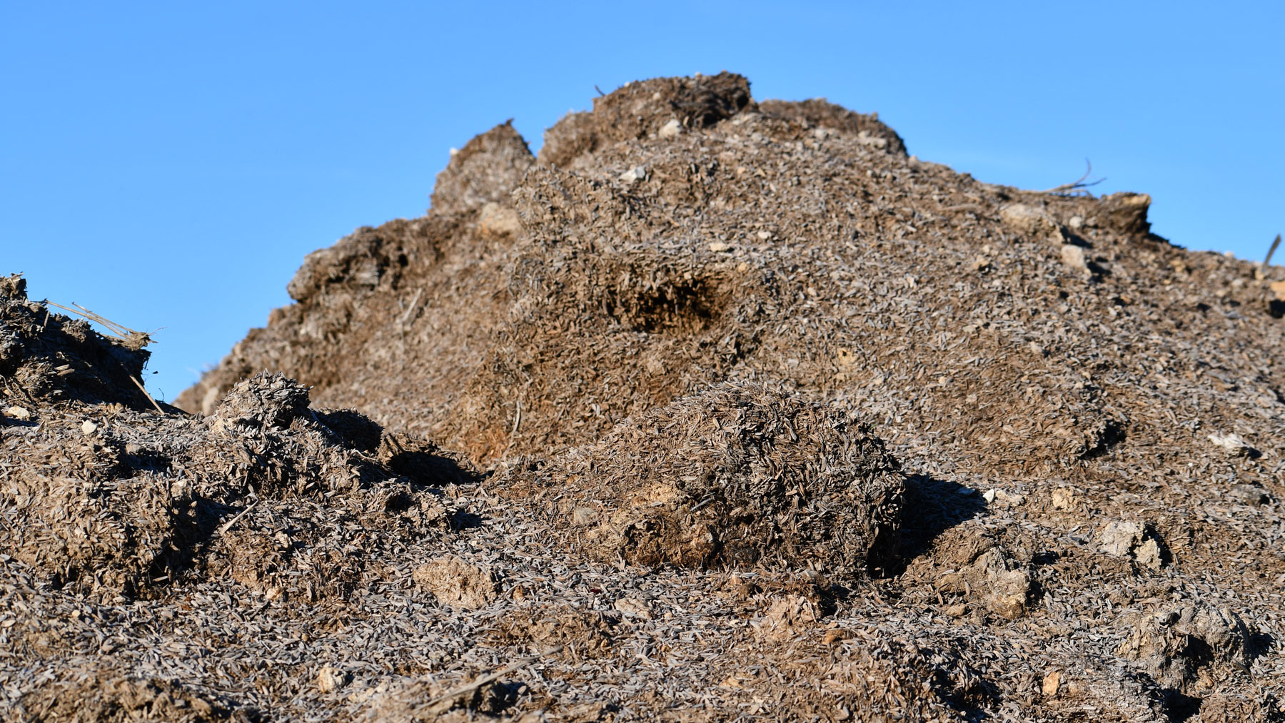 Farmer turns waste rice hulls into valuable compost