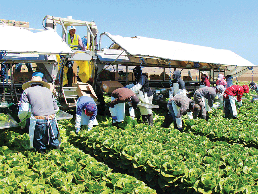 Arizona produce farmers waiting for answers
