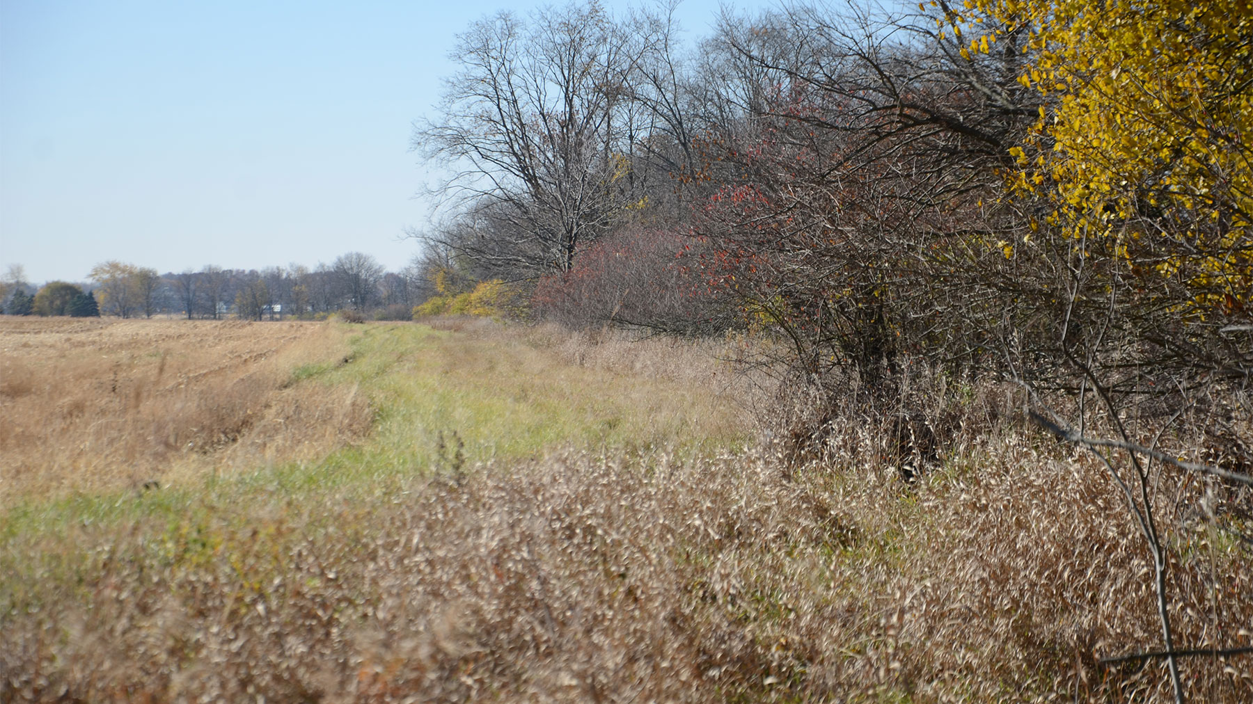 9 takeaways for reducing phosphorus surface runoff