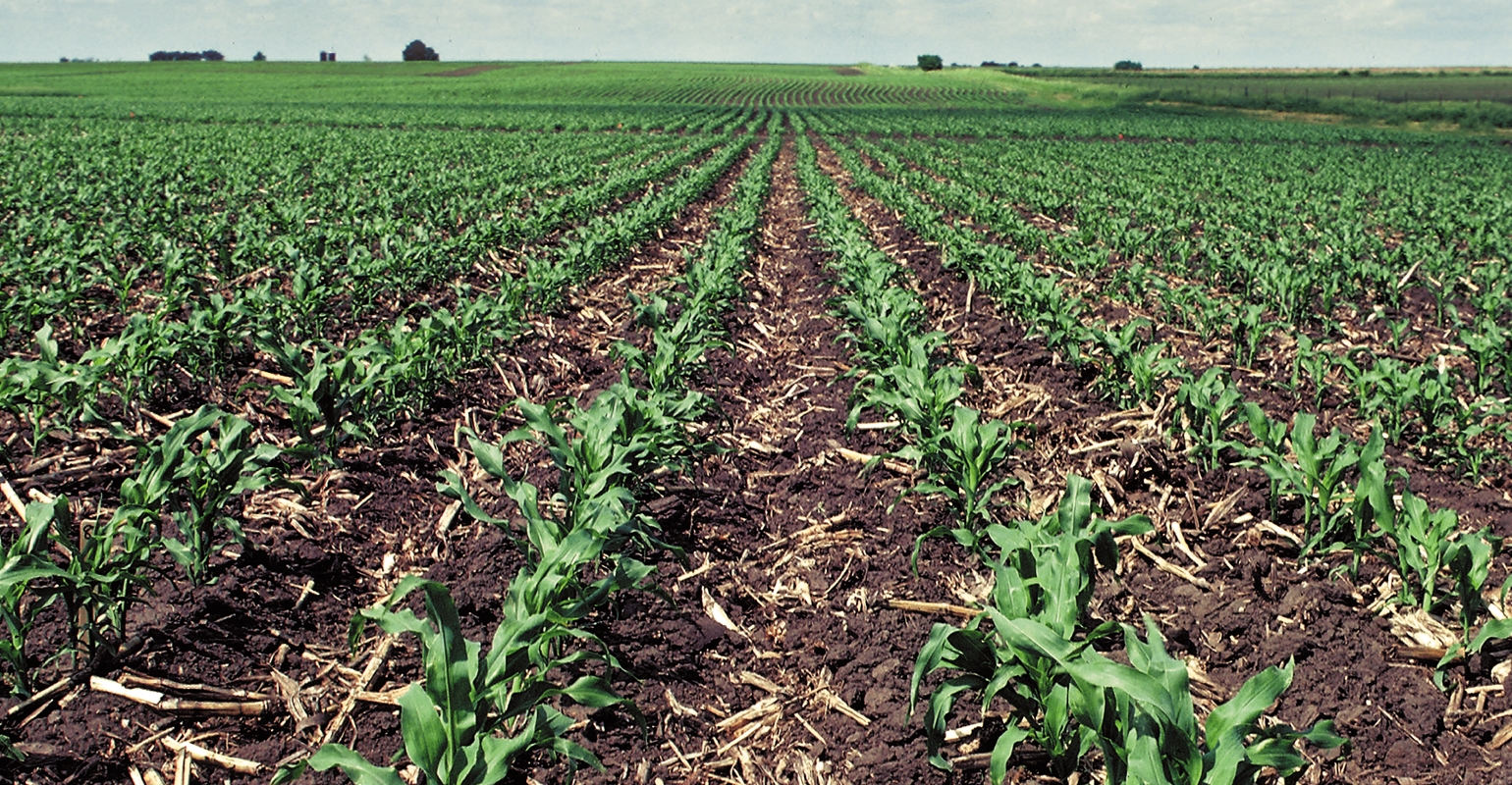 To till or not to till — that is the question