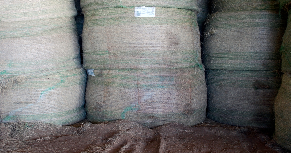 What to do about the moldy hay in your barn