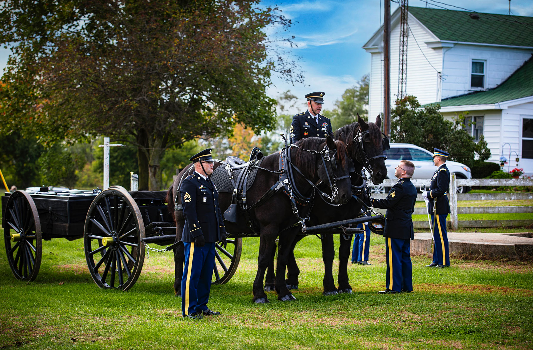 Equine soldiers show respect, honor