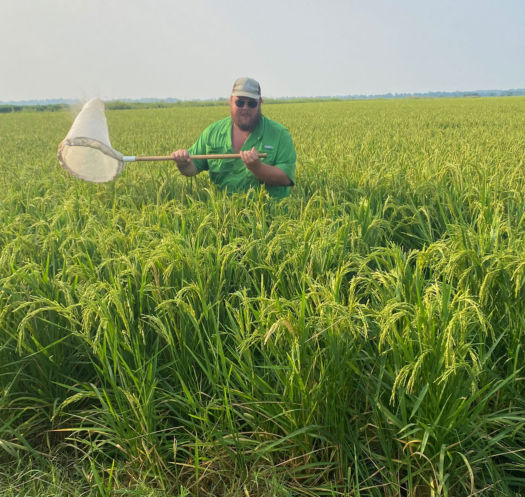 Missouri farmers use integrated pest management for resilient crops