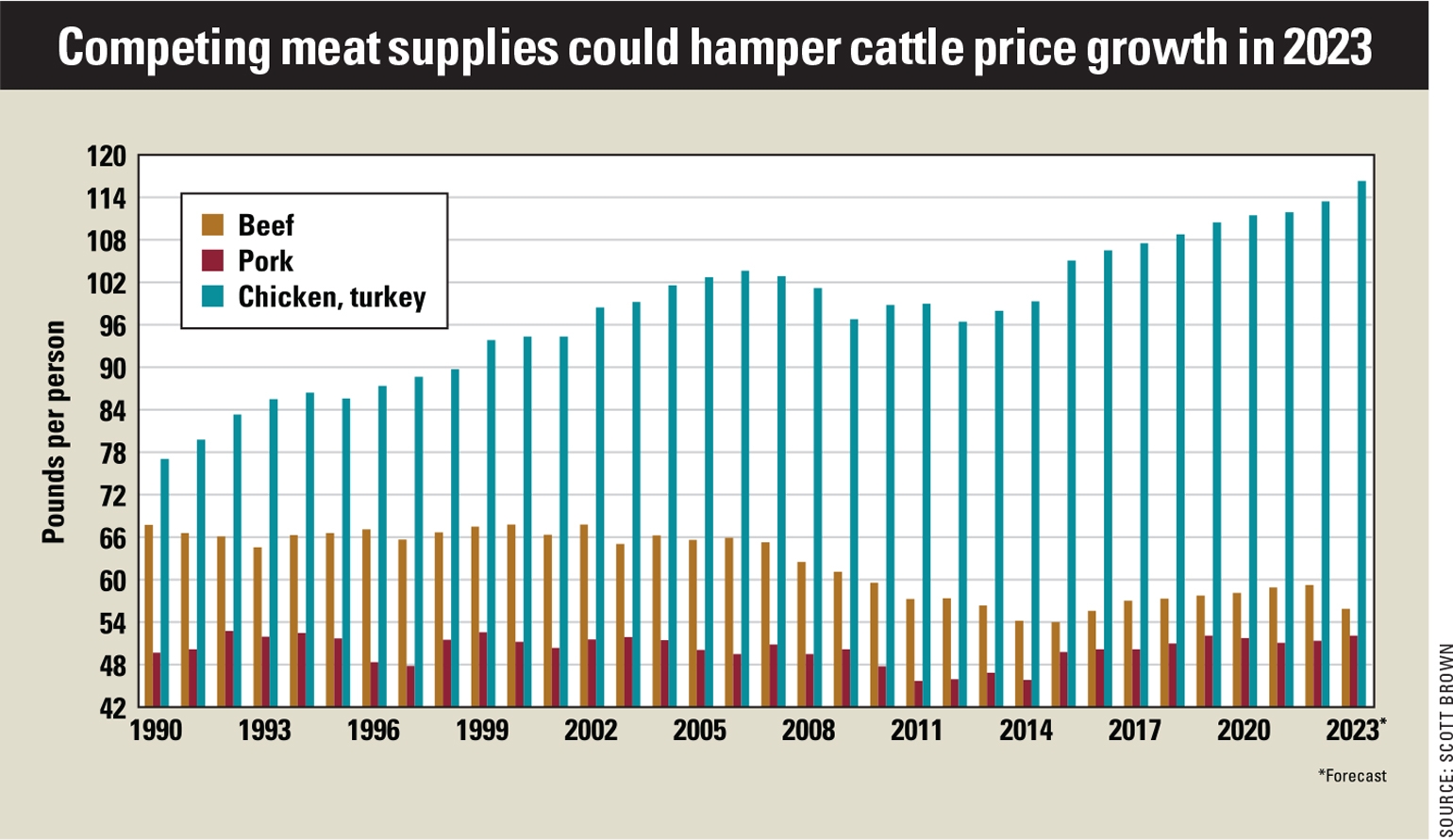 Beef in short supply in 2023