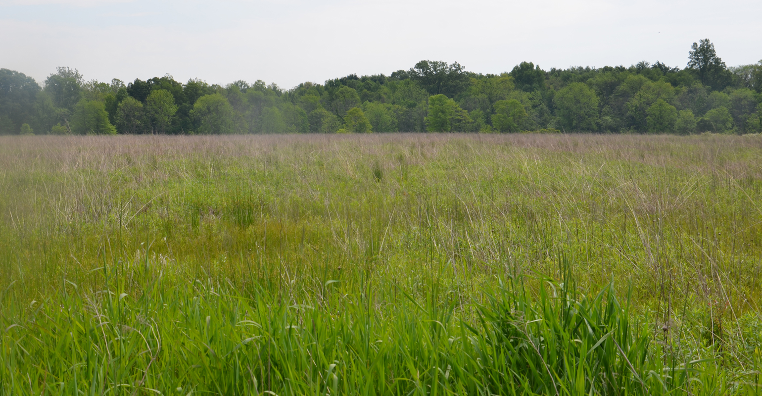 Transition CRP acres into crop ground