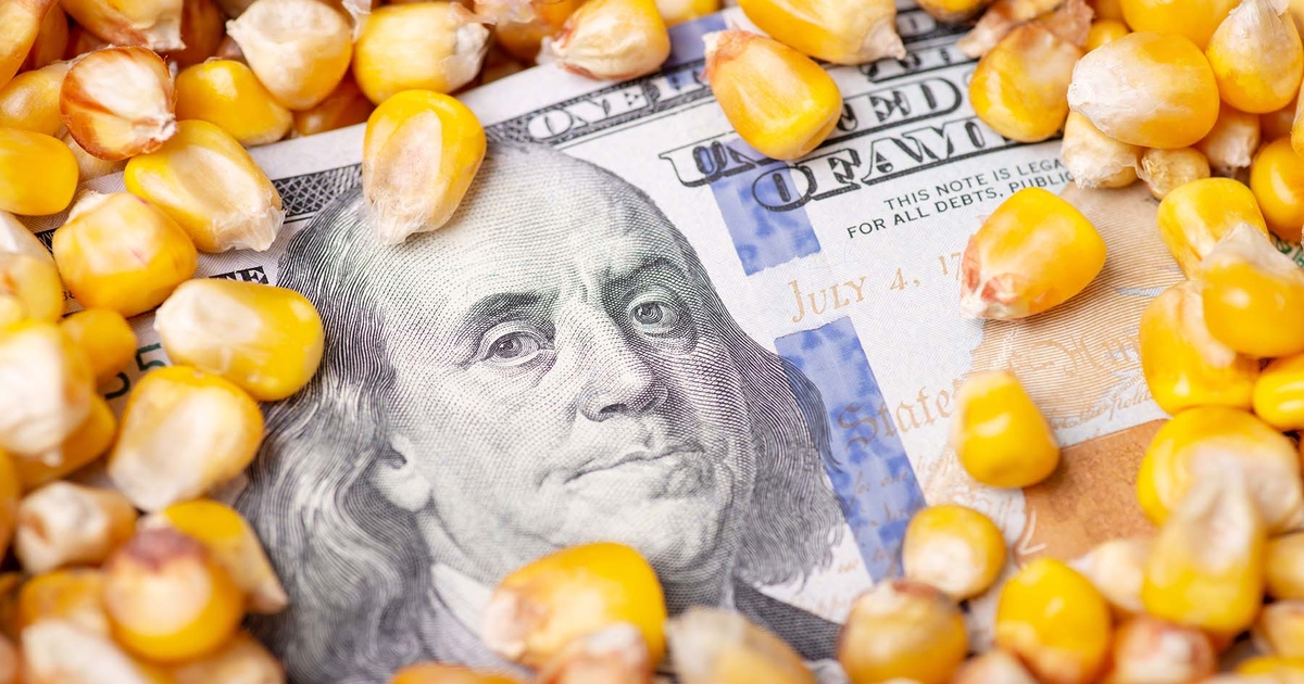 Grain market outlook: Supply high, demand key