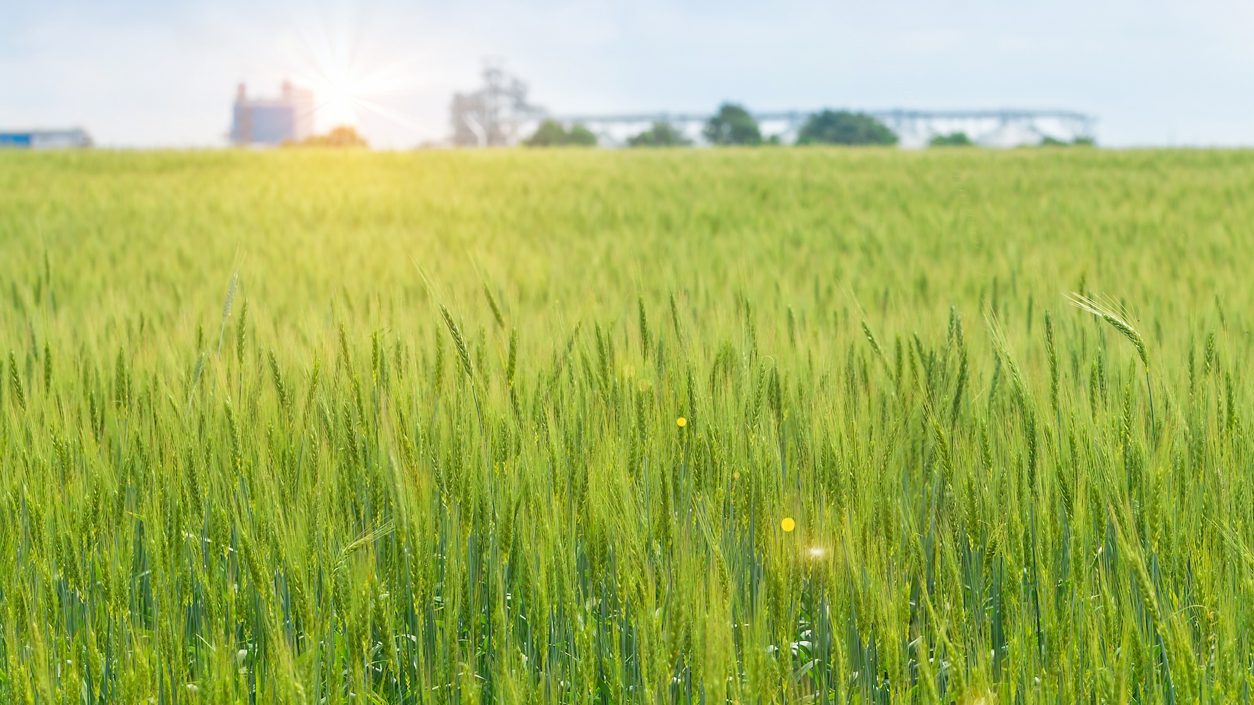 Anhydrous ammonia key ingredient in rural meth-making