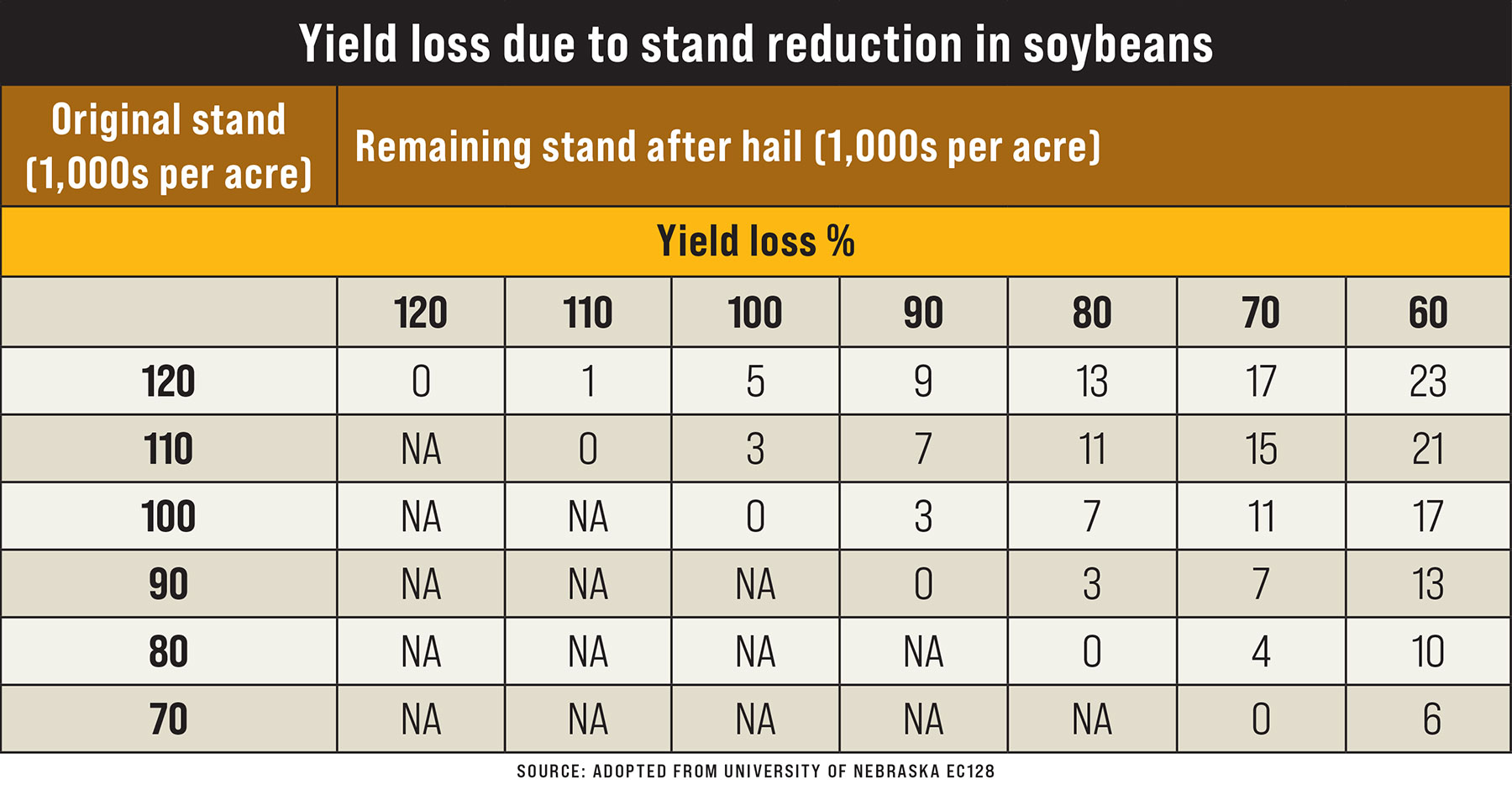 How to assess hail damage in soybeans