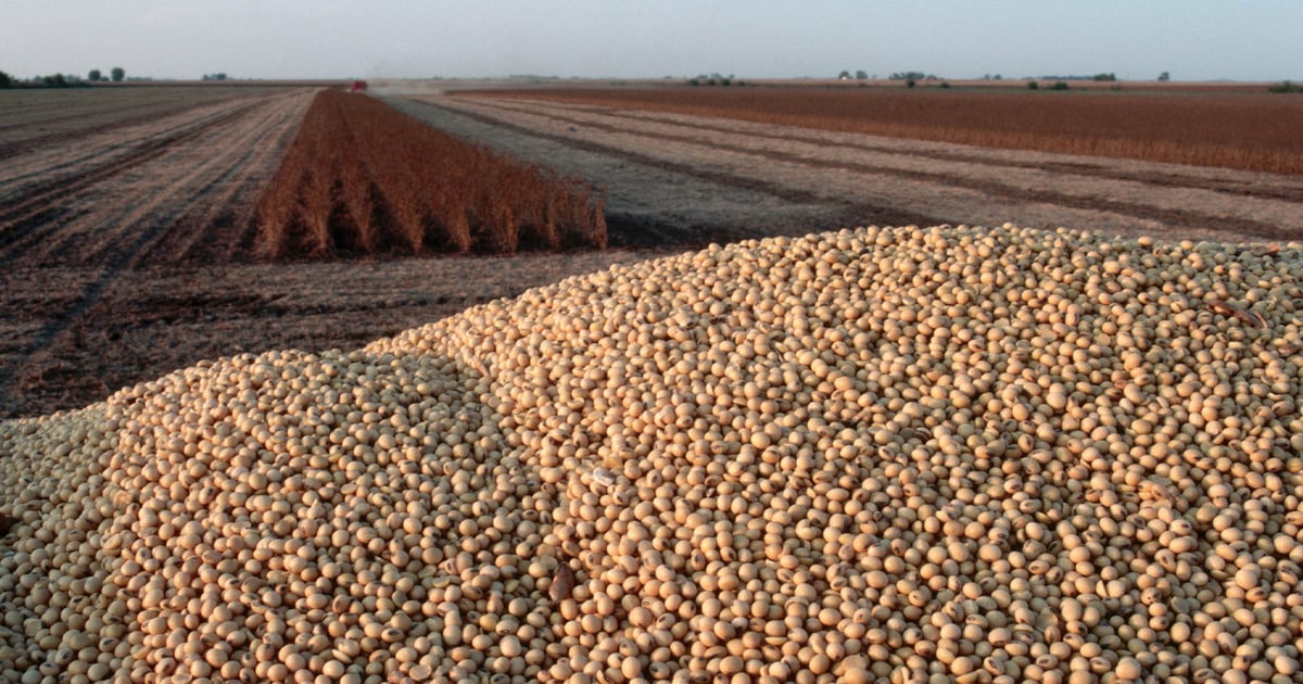 Crop progress: Soybean harvest closes in on the finish line