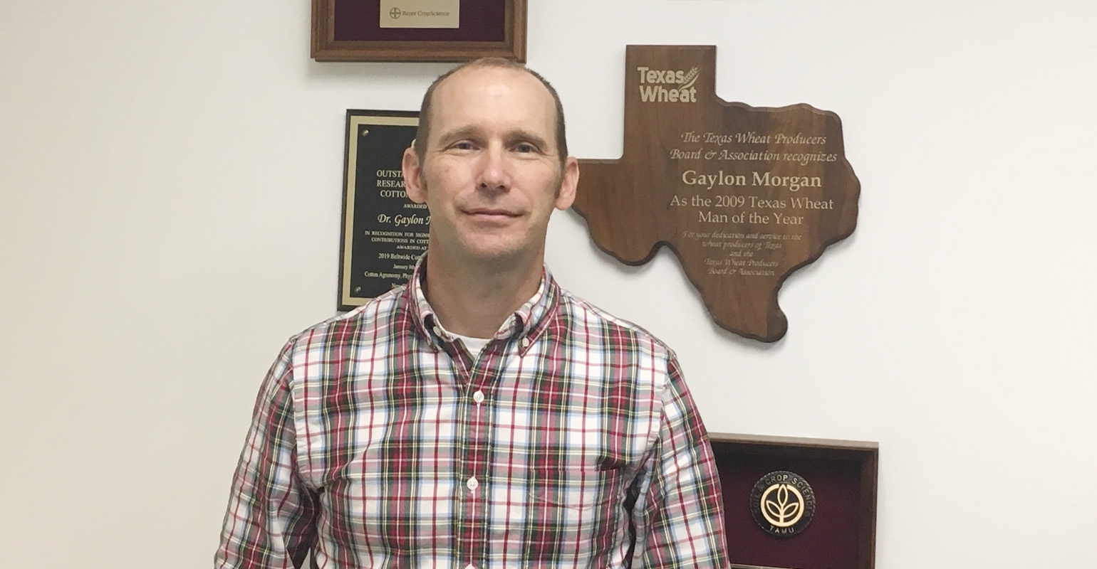 Dr. Gaylon Morgan joins Cotton Inc.
