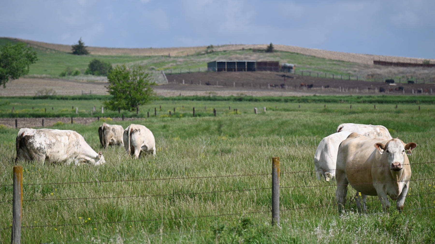 Delta Farm Press Magazine Issues