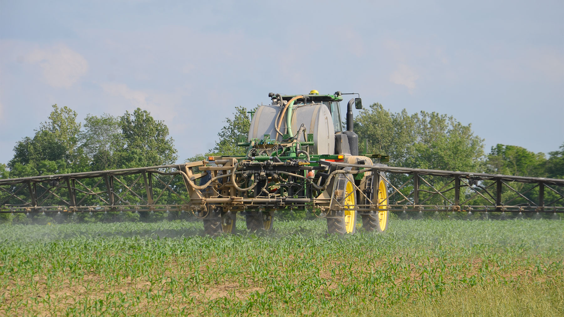 Help post herbicides work better in corn