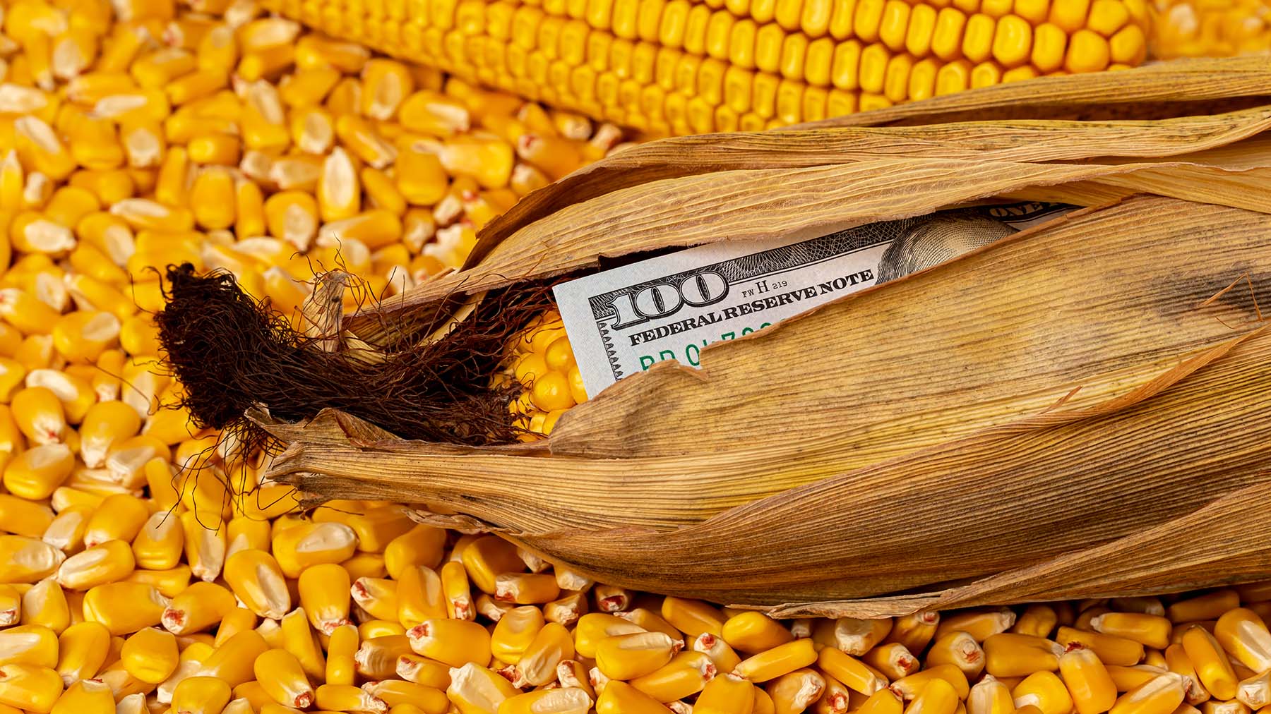 Corn recent news | Farm Progress