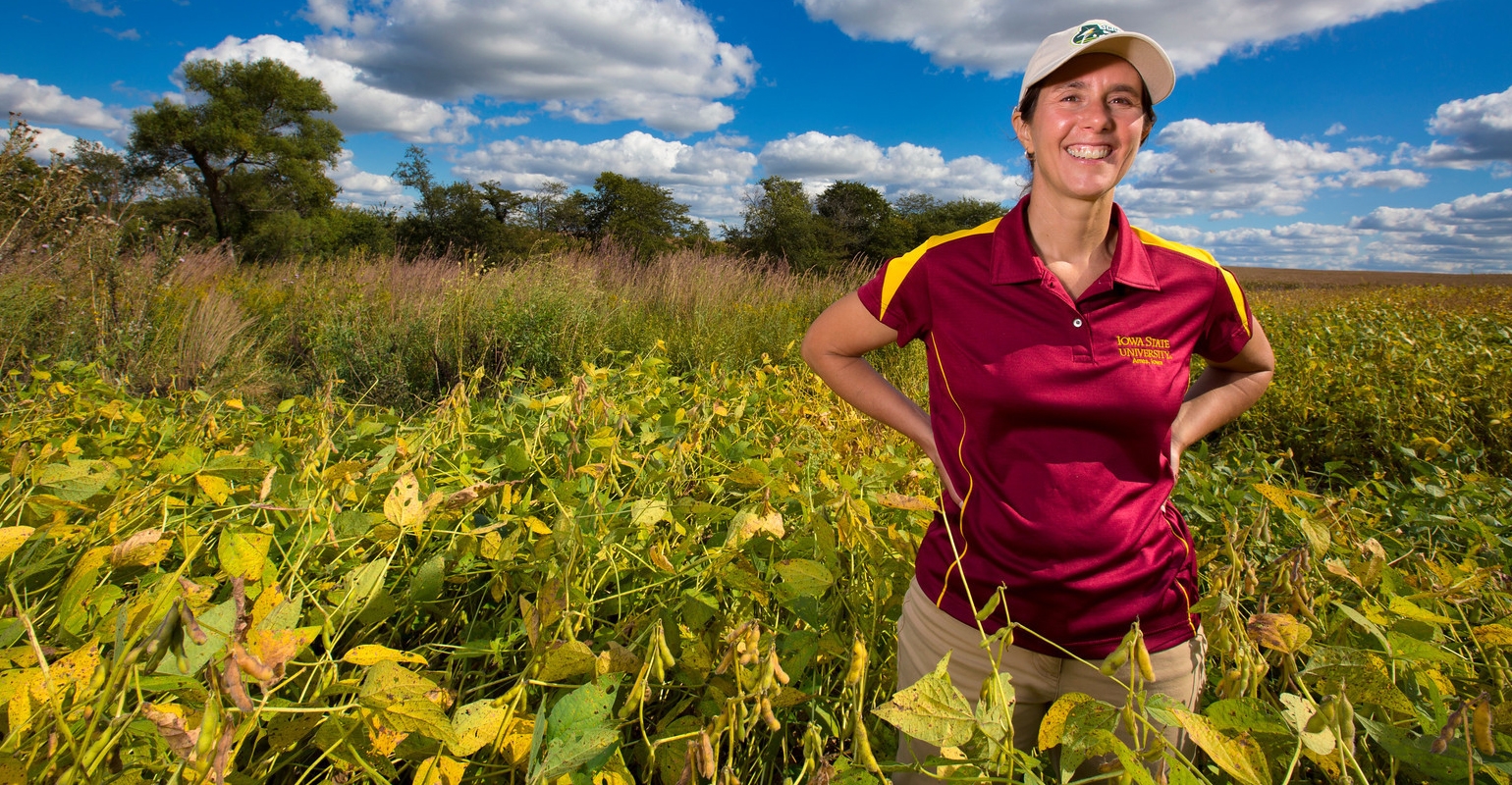Prairie strips: A viable conservation practice