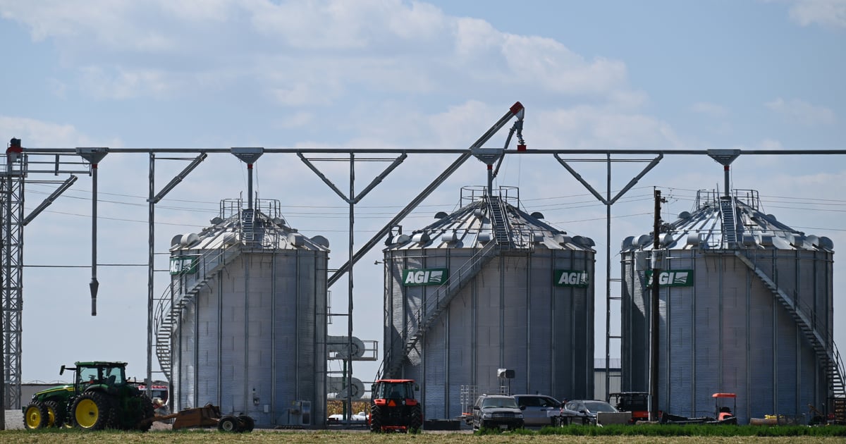 How to practice grain bin safety