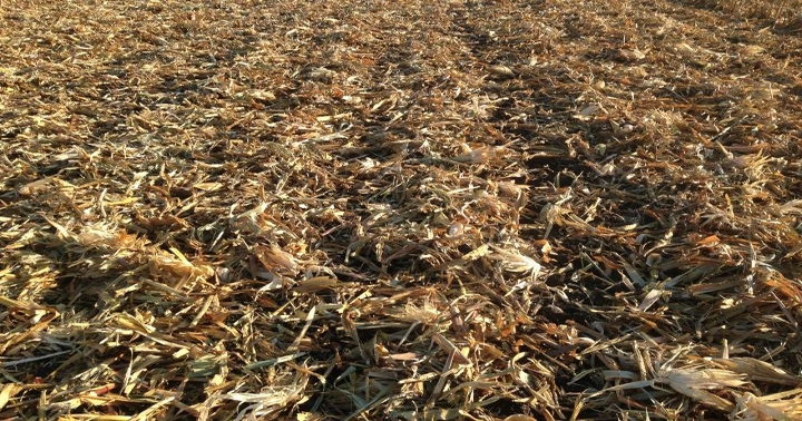 Corn residue breakdown photo journal | Farm Progress
