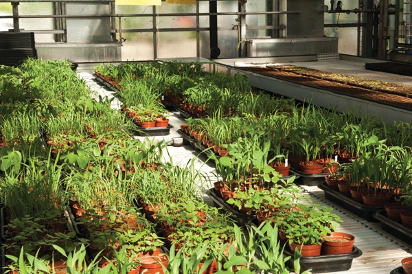 Bayer CropScience: Past, present, future | Farm Progress