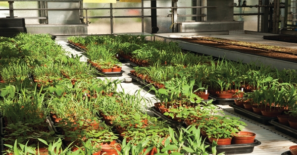 Bayer CropScience: Past, present, future | Farm Progress