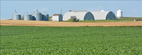 Best cropland brings $6,500 per acre at auction
