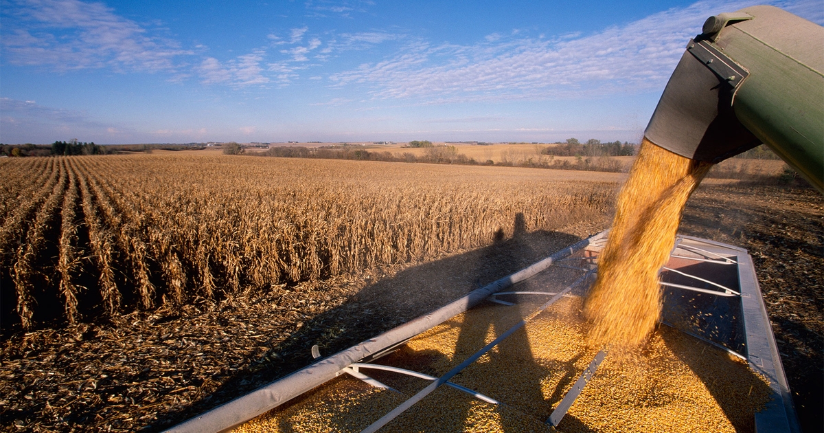 Corn producers to vote on doubling checkoff assessment