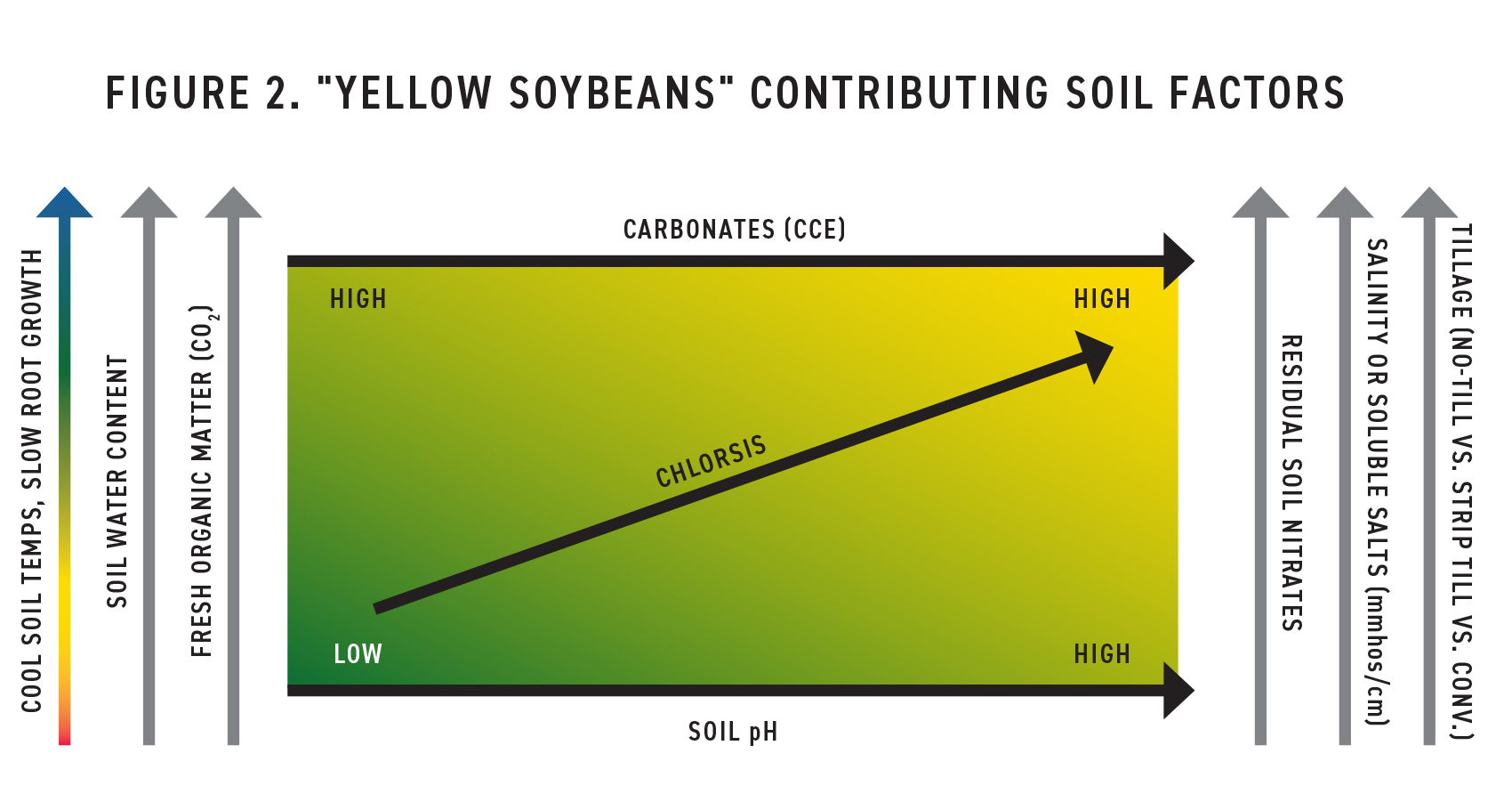 Symptoms and Factors of IDC