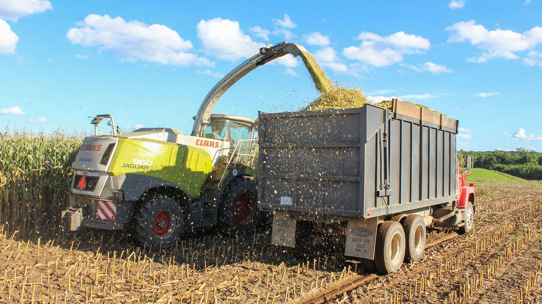 Forage harvester preparation tips for corn silage season