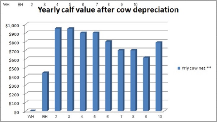 Cow price bell curve shows real depreciation and appreciation