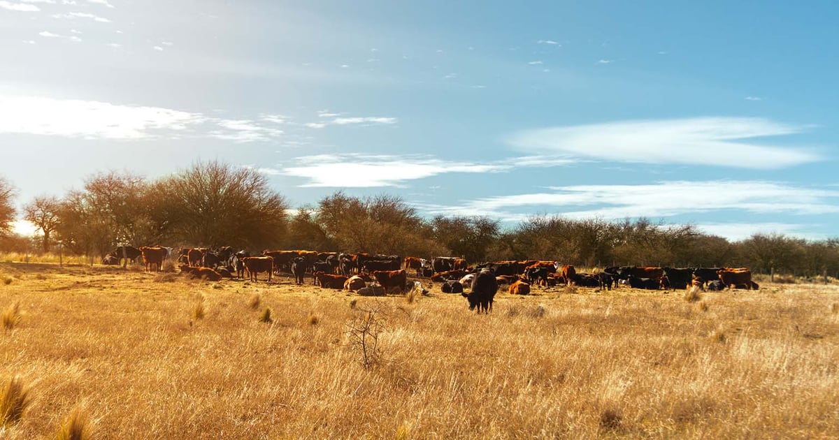 Drought worsens in Canada's southern Prairie
