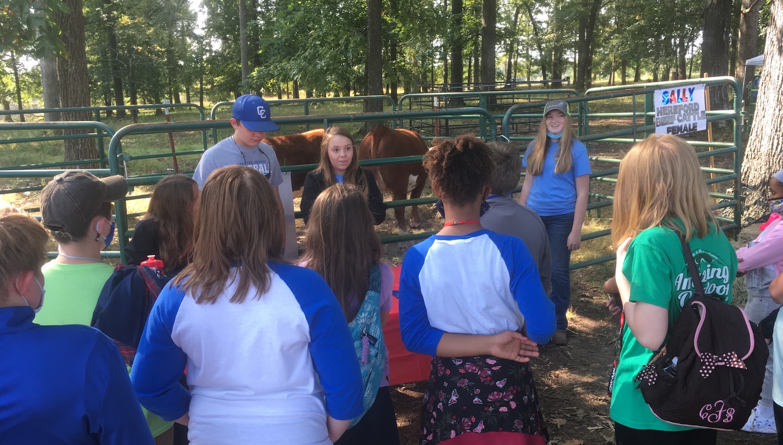 High school ag program finds new success | Farm Progress