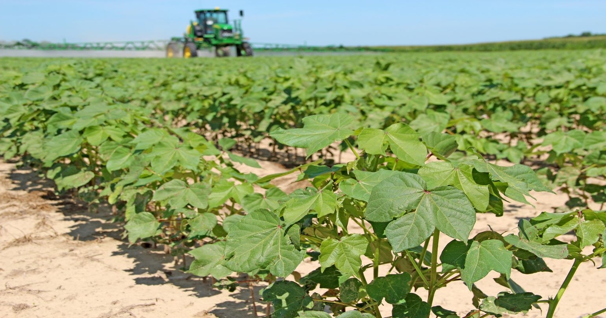 FIFRA policy change and pesticide lawsuits and regulations