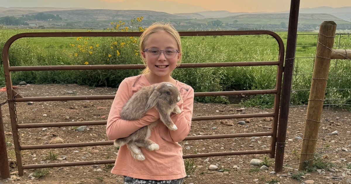 Urban livestock: Chickens, rabbits make great 4-H projects