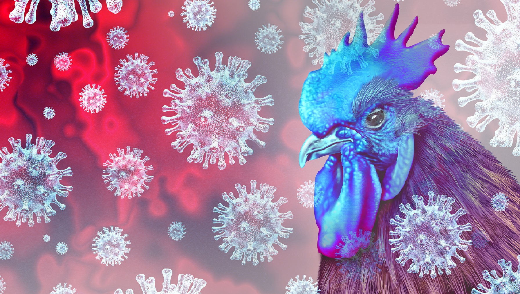 California's last sugar beet processor to close, impacting local economy