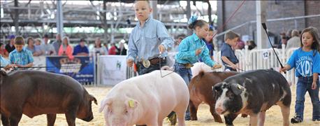 Pork producers 'focused on the future' at World Pork Expo 2015