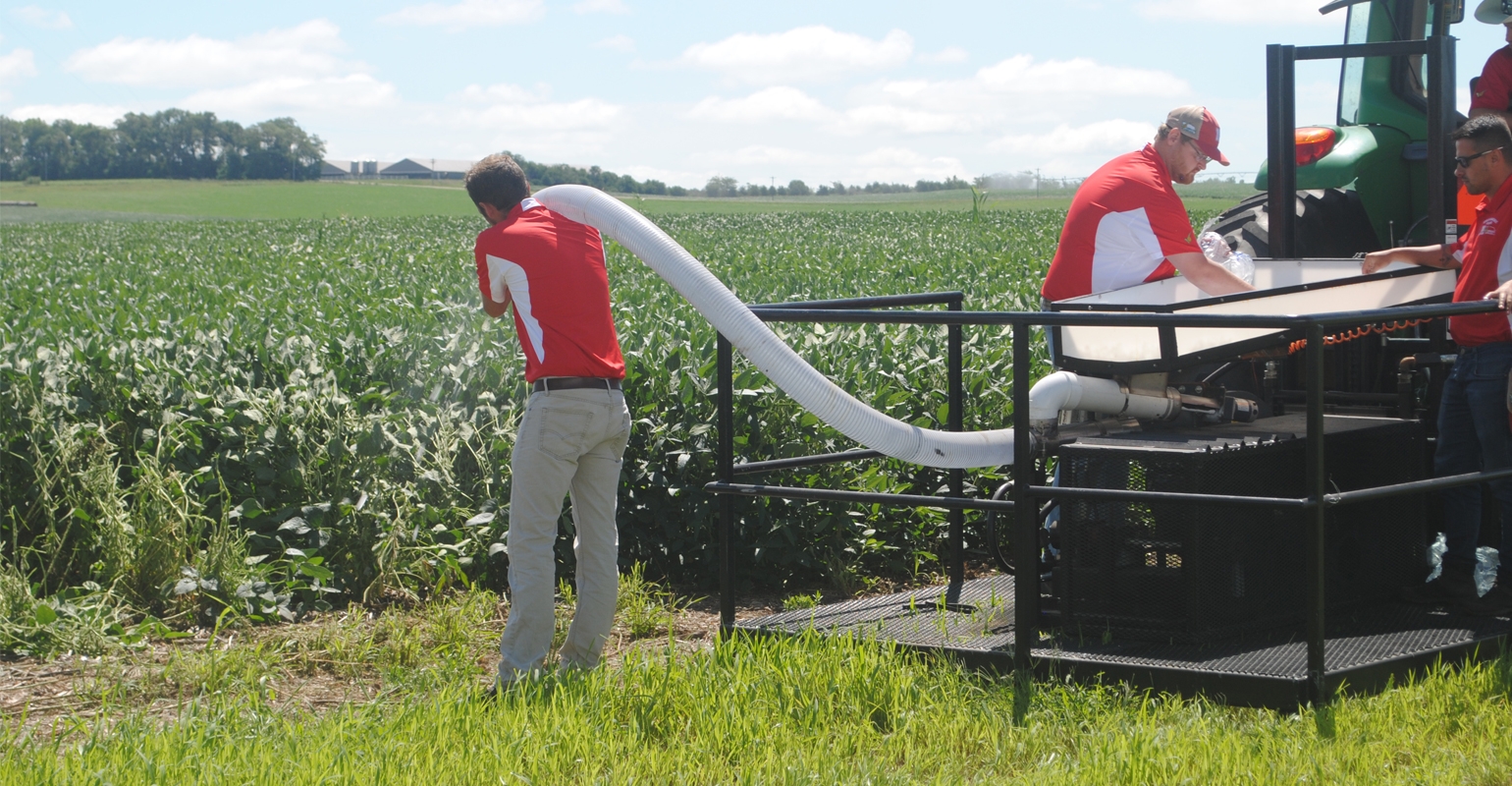 How to handle hail damage in corn