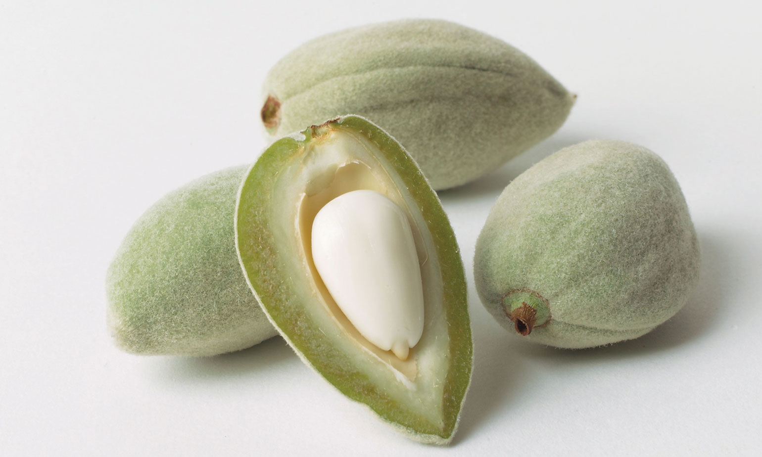 Pelletized almond hulls gain in popularity