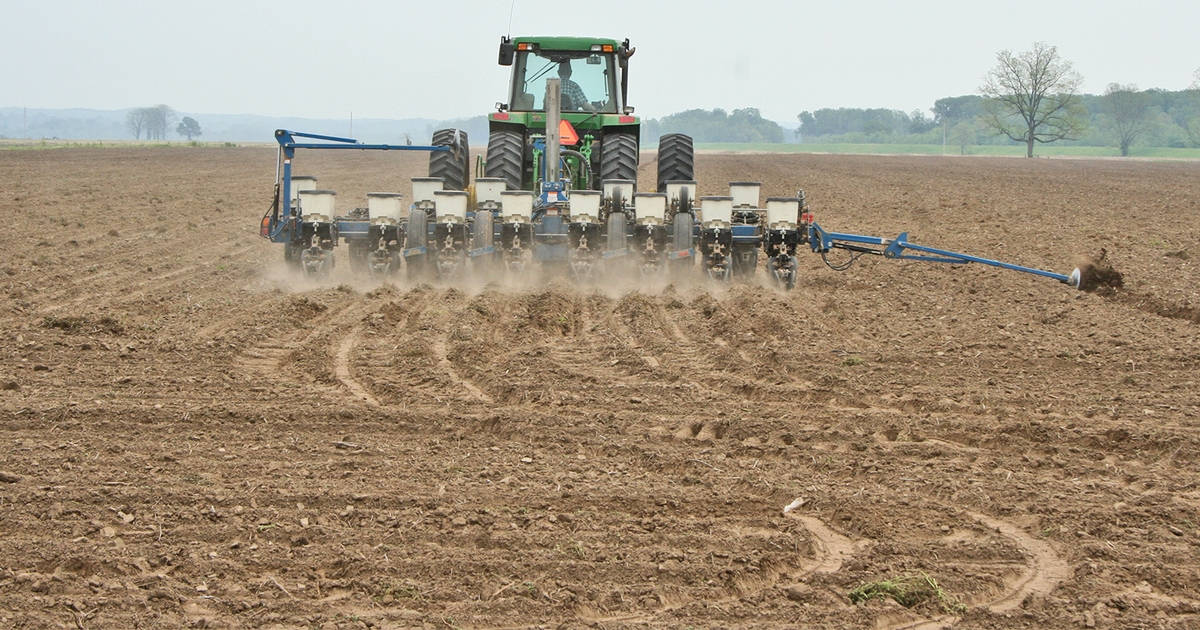 3 things to consider before cutting seeding rates
