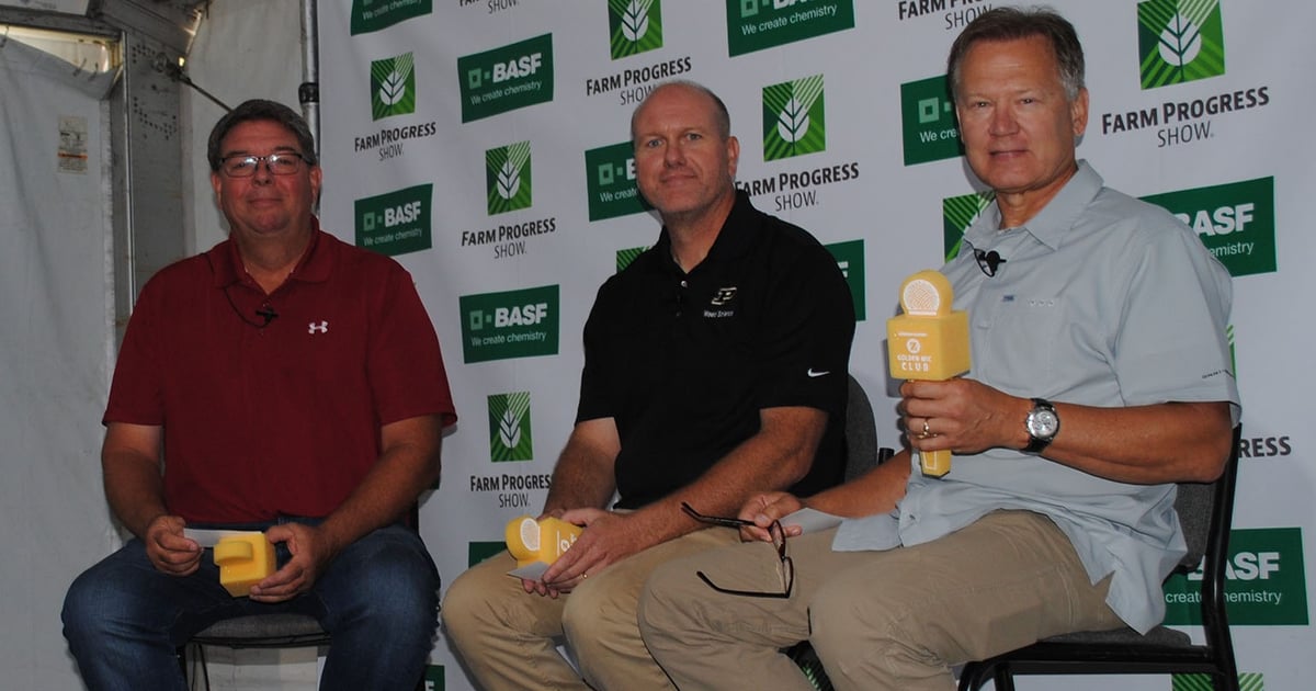 Growers need to employ combination of tools to control weeds