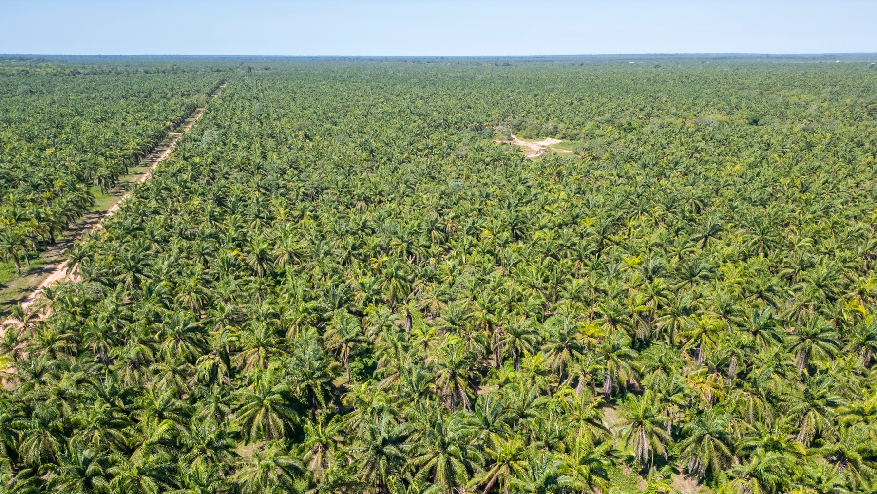 Farm Progress Show 2025: Guide to 20th anniversary event