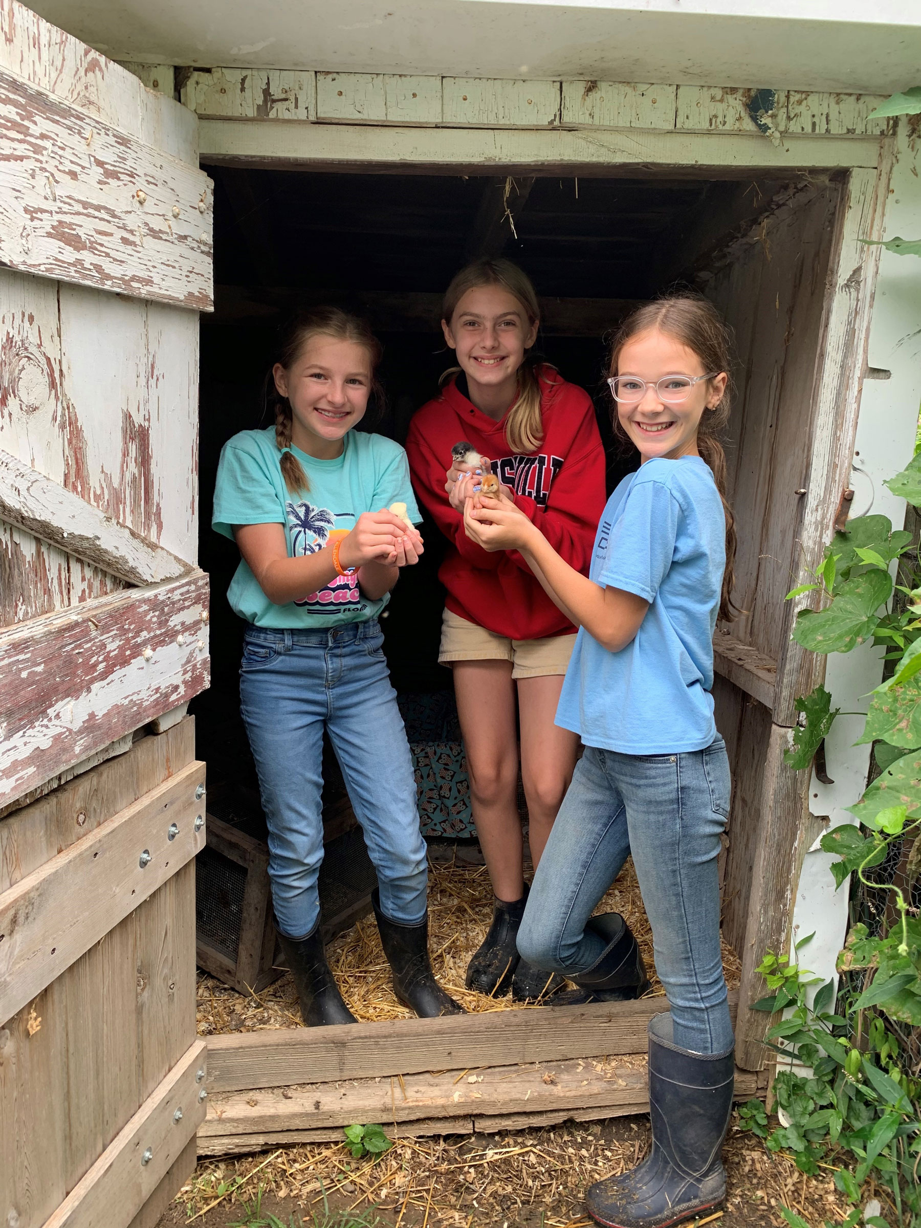 Open the barn, train kids in agriculture