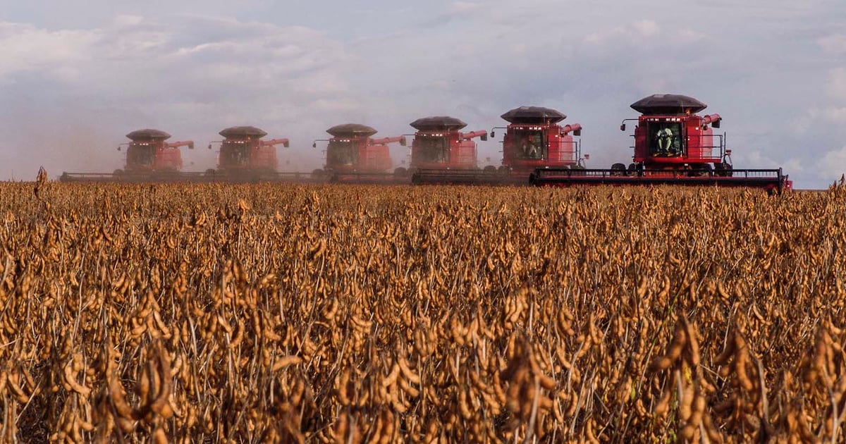 Brazil soybeans keep on growing | Farm Progress