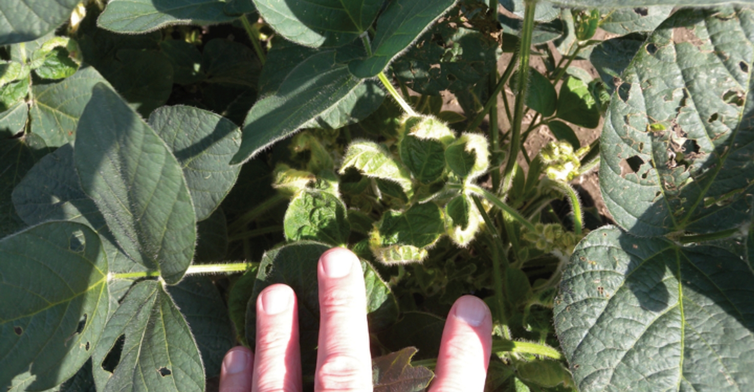 See for yourself why triple rinsing pays