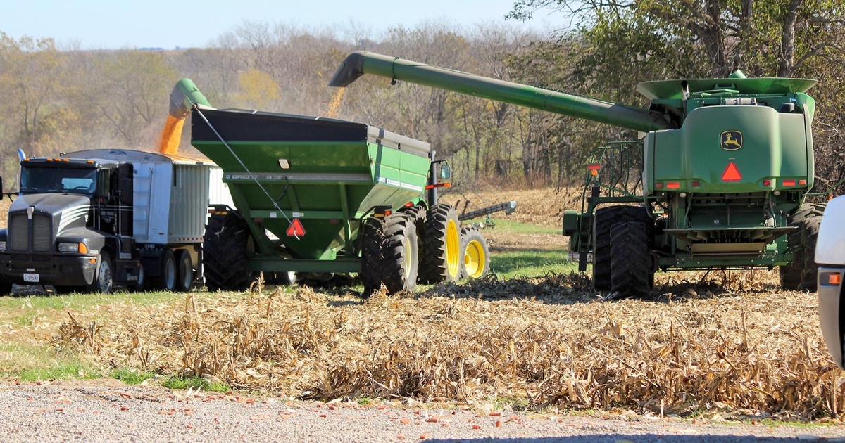 New officers guide state corn checkoff