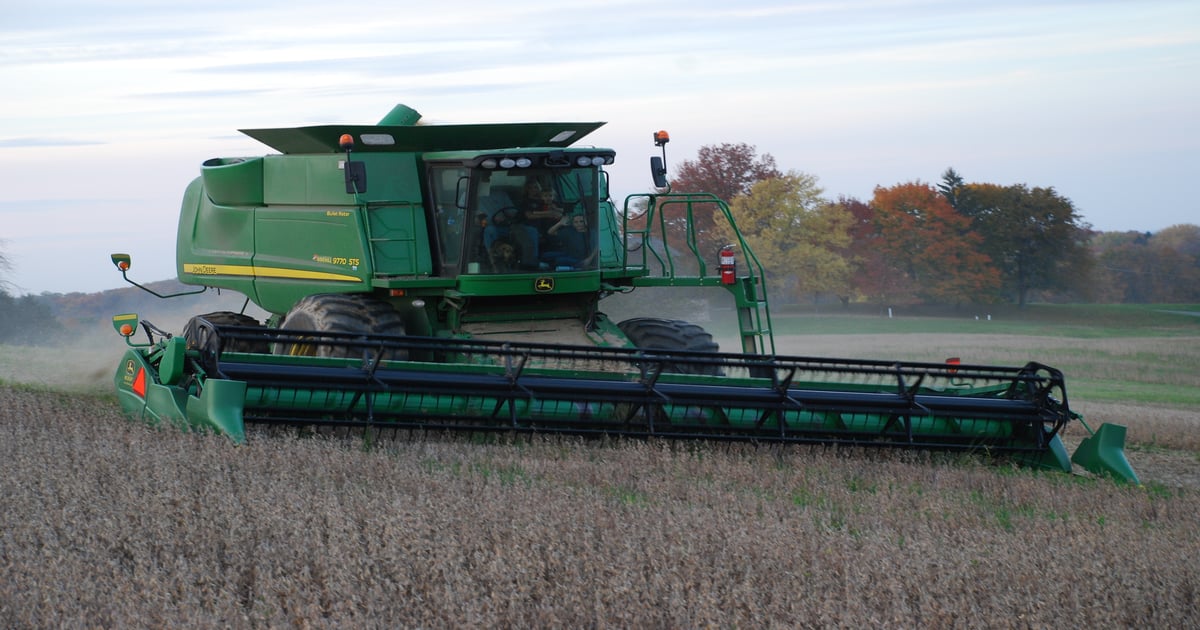 Who will win the battle, corn bulls or bears?