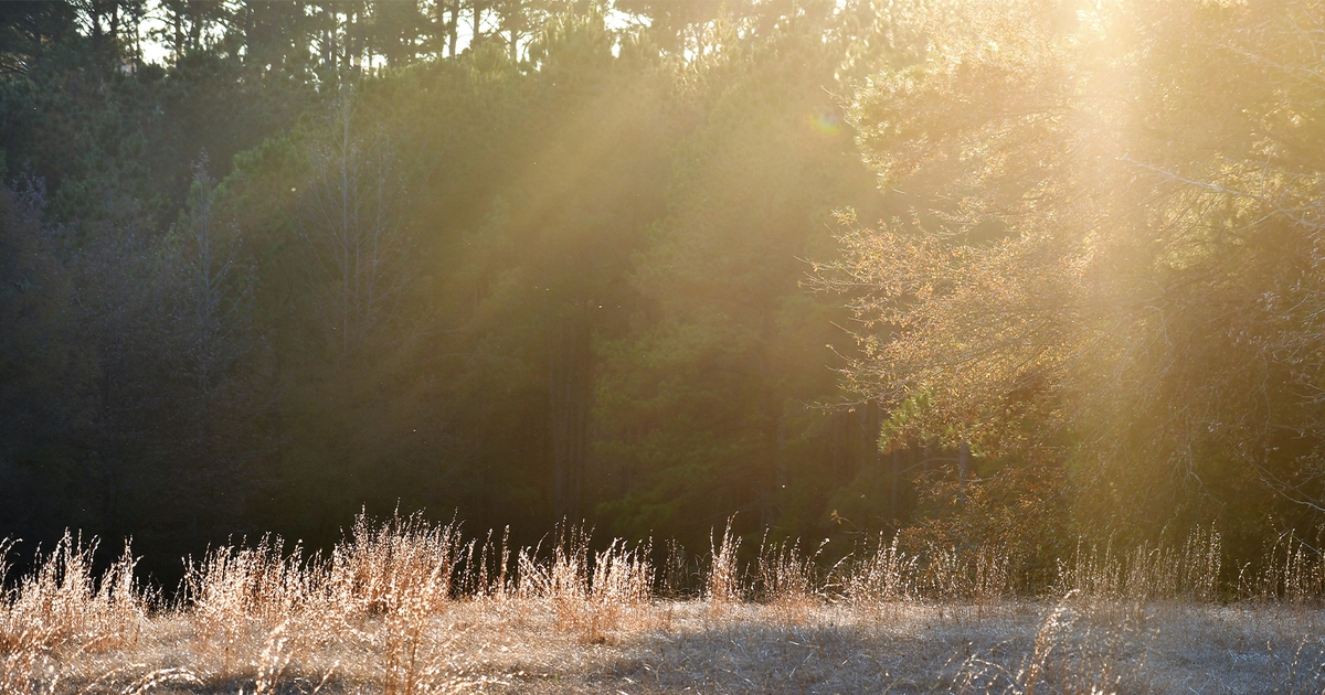 Two years with the Delta Farm Press