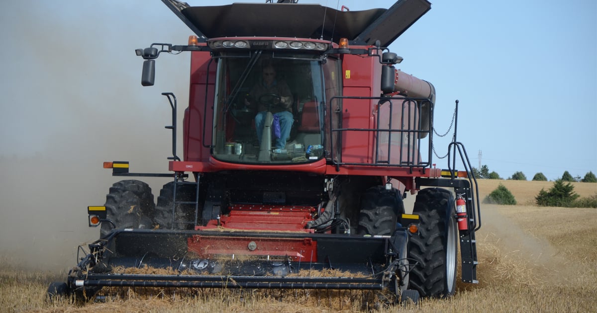 Cultivating new markets for proso millet | Farm Progress