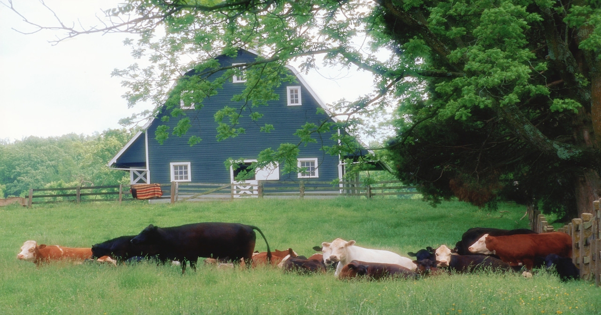 Learn more about VFD