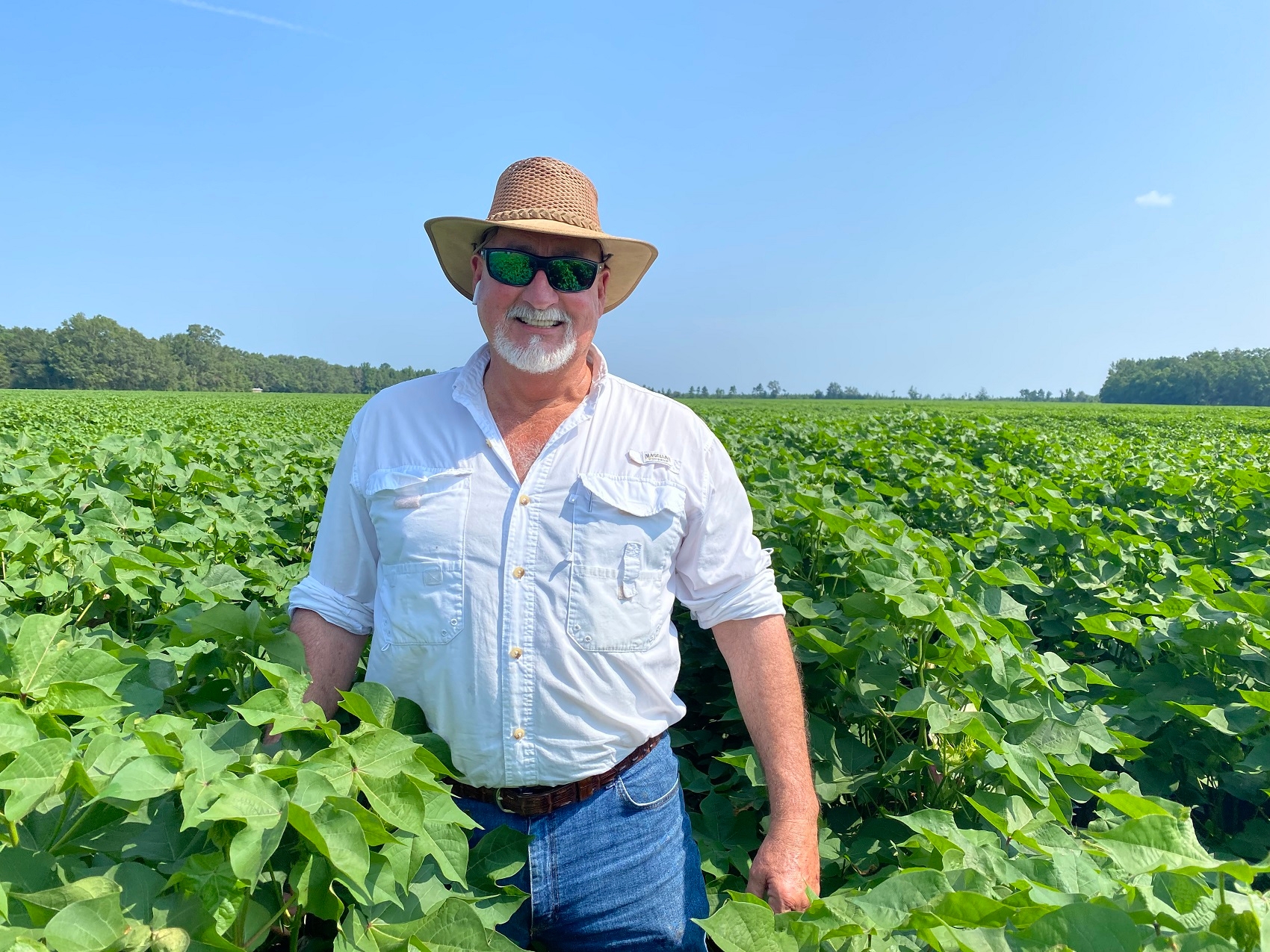 Trials show success of PhytoGen W3FE varieties