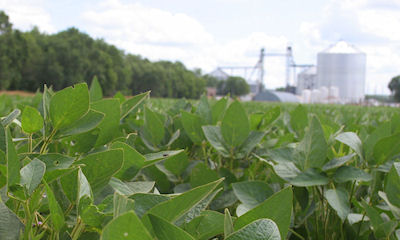 Evidence for early soybean planting for higher yield mounts again